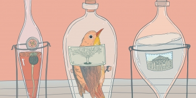 A History of Suspicion by Ashaki M. Jackson